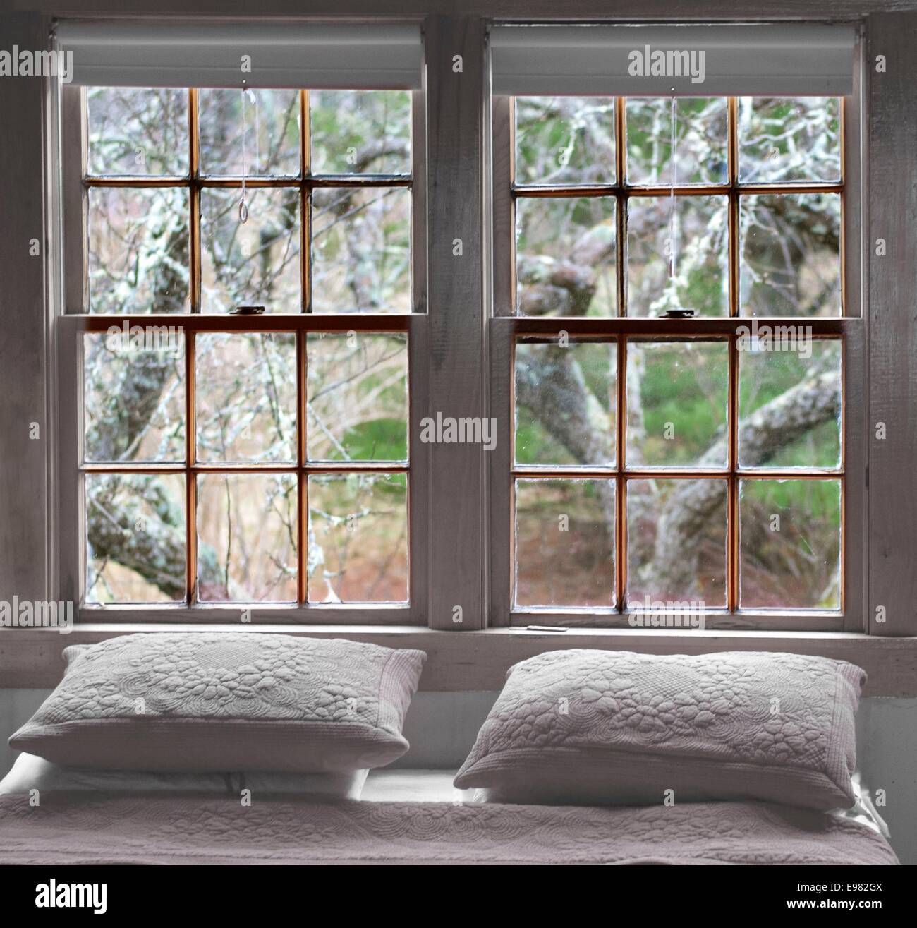 Two pillows in front two wooden windows tree being seen thru windows ...