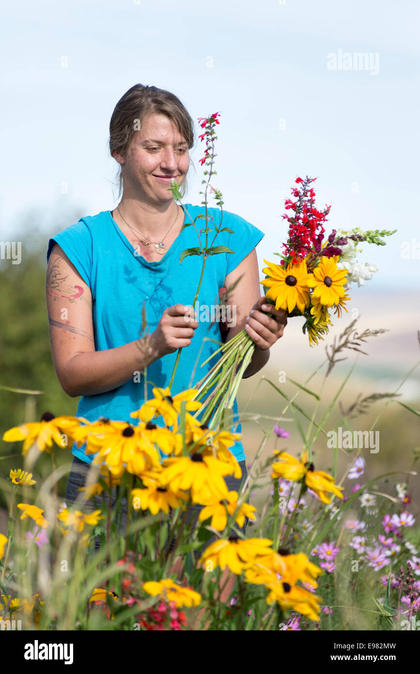 Farm bouquet hi-res stock photography and images - Alamy