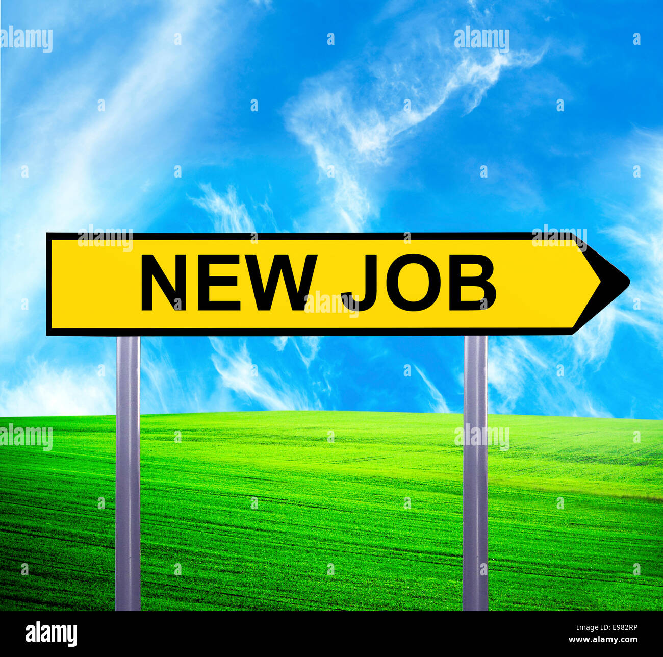 Conceptual arrow sign against beautiful landscape with text - NEW JOB ...
