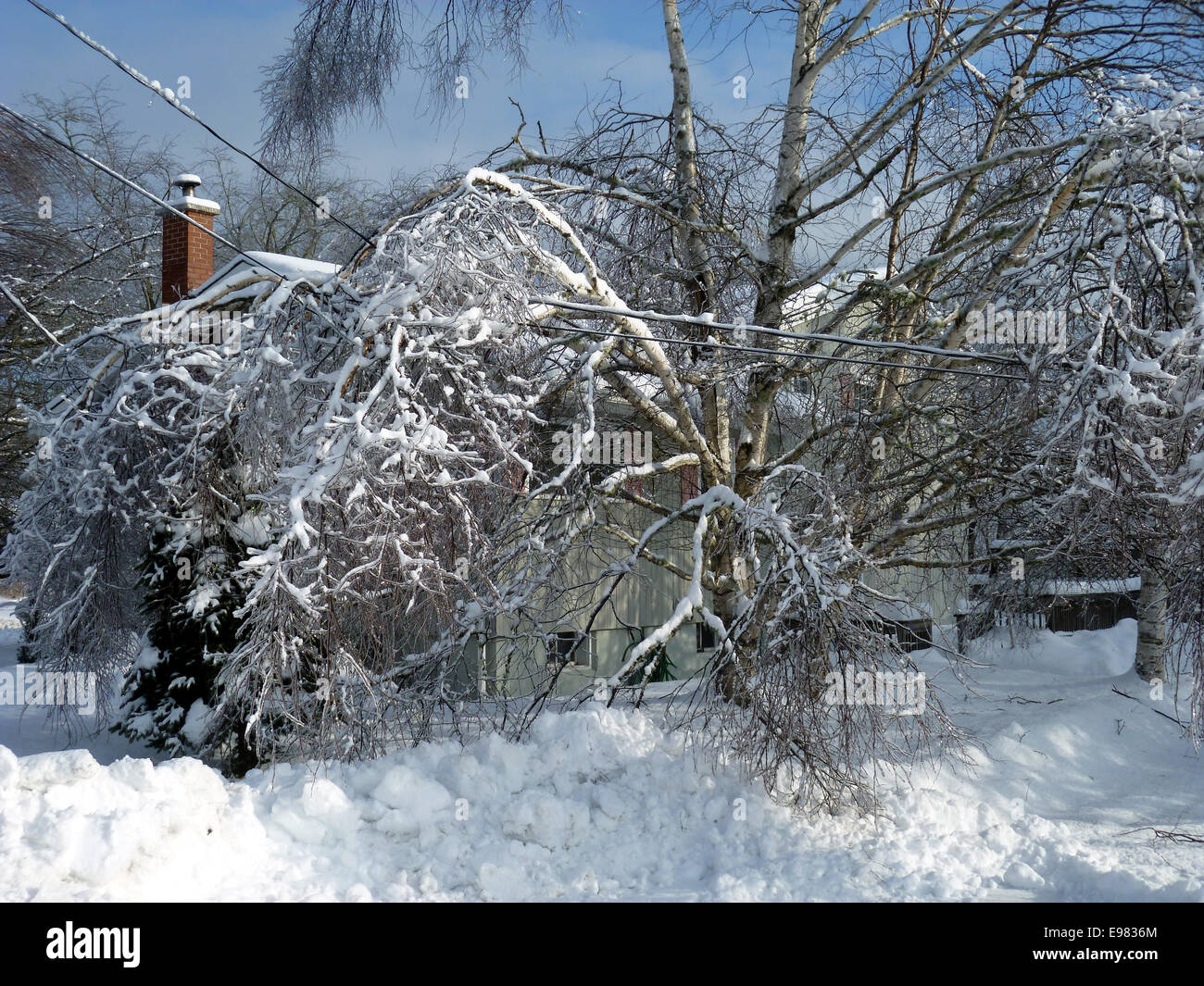 Ice On Power Lines High Resolution Stock Photography and Images - Alamy