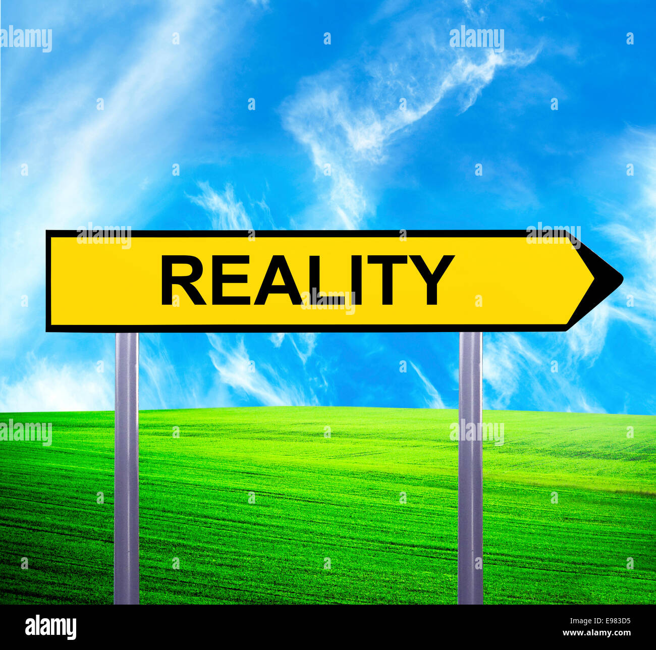 Conceptual arrow sign against beautiful landscape with text - REALITY ...