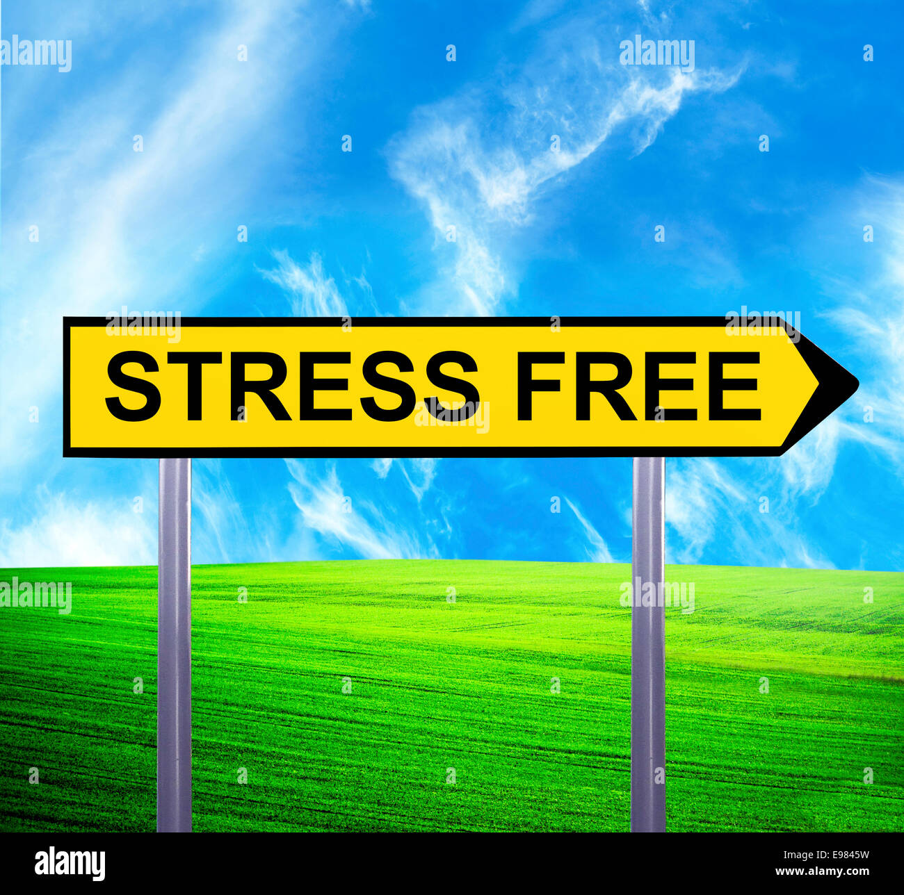 Conceptual arrow sign against beautiful landscape with text - STRESS ...