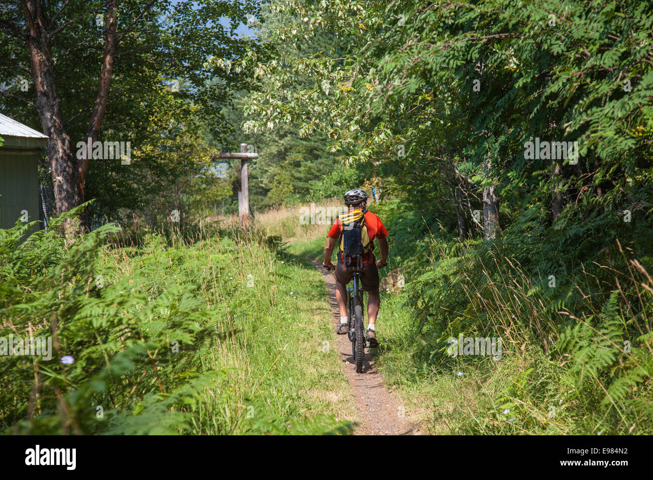 Nakusp and slocan railway hi-res stock photography and images - Alamy