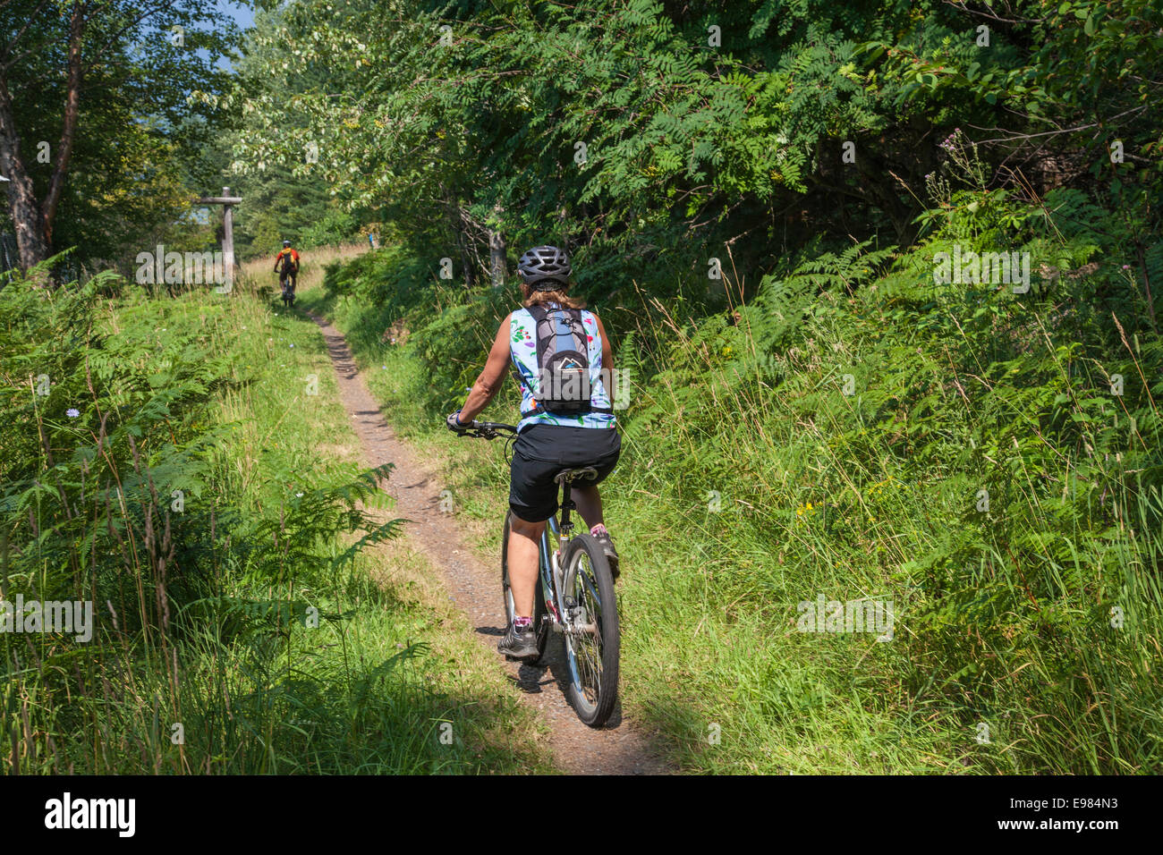 Galena Trail, New Denver, Slocan Valley, West Kootenay, British ...