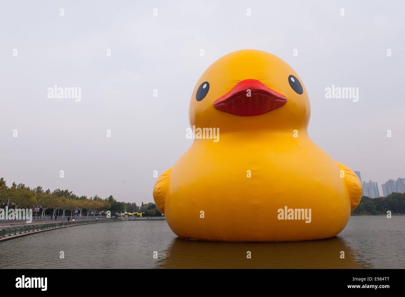 Oct. 21, 2014 SHANGHAI CHINA OCT 21: The ''Giant Rubber Duck'' created ...