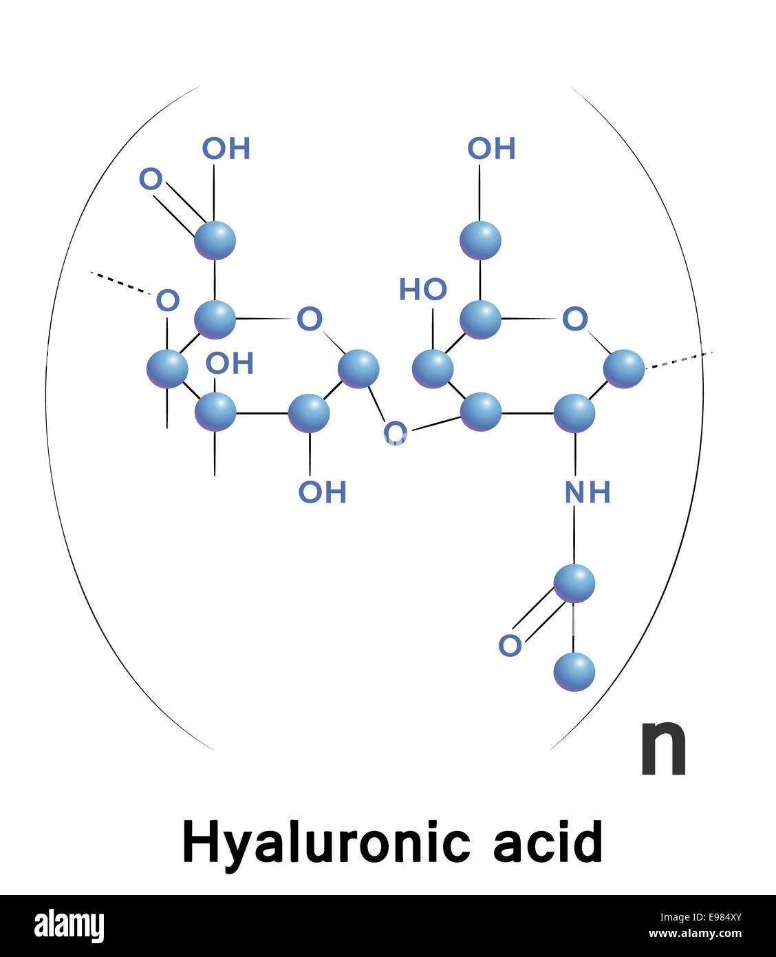 Hyaluronic acid molecule Cut Out Stock Images & Pictures - Alamy
