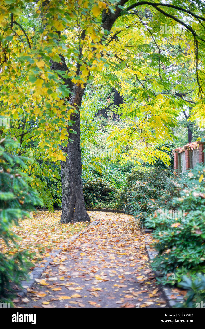 Empty trees hi-res stock photography and images - Alamy