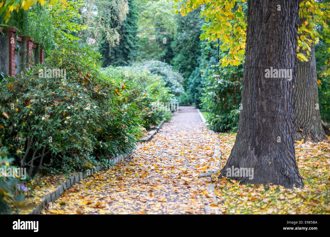 Empty lane hi-res stock photography and images - Alamy