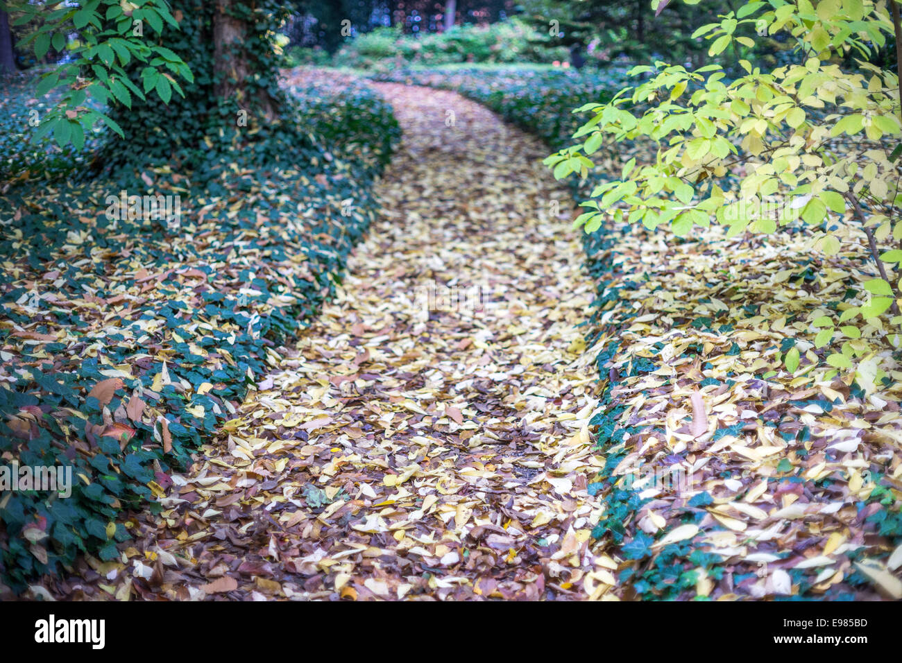 Covered lane hi-res stock photography and images - Alamy