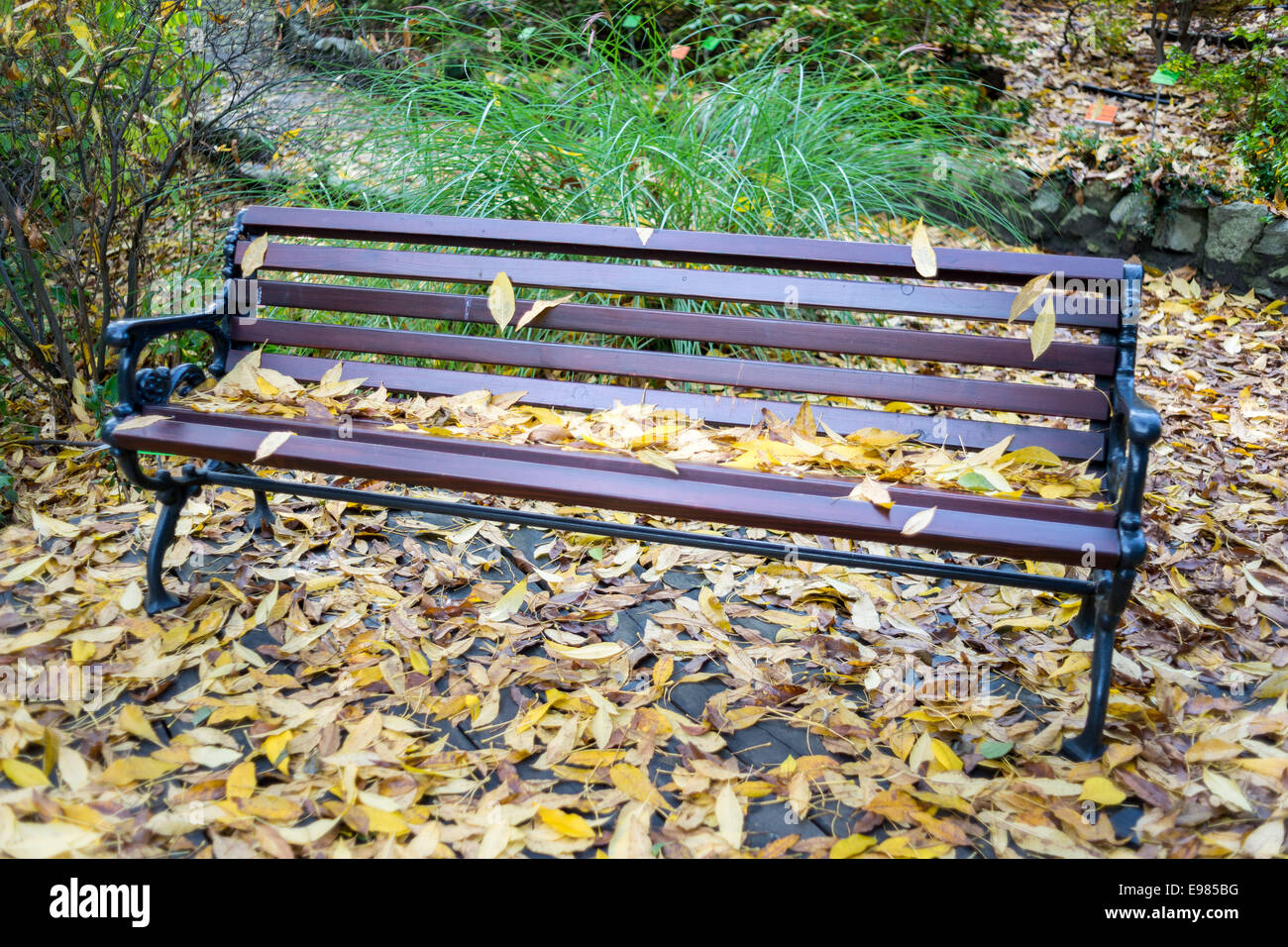 Park bench and fallen autumn leaves Stock Photo - Alamy