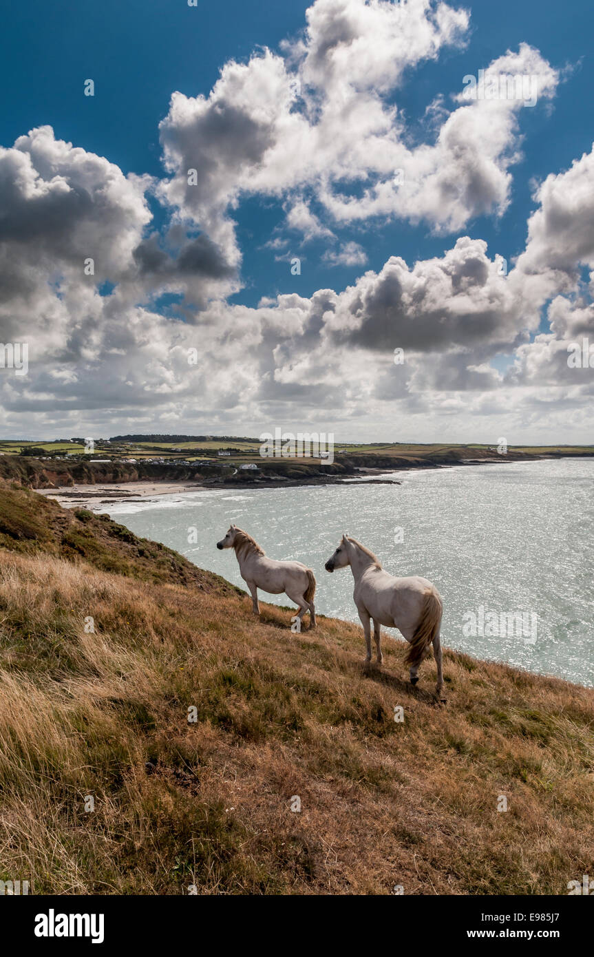 White church in bay hi-res stock photography and images - Alamy