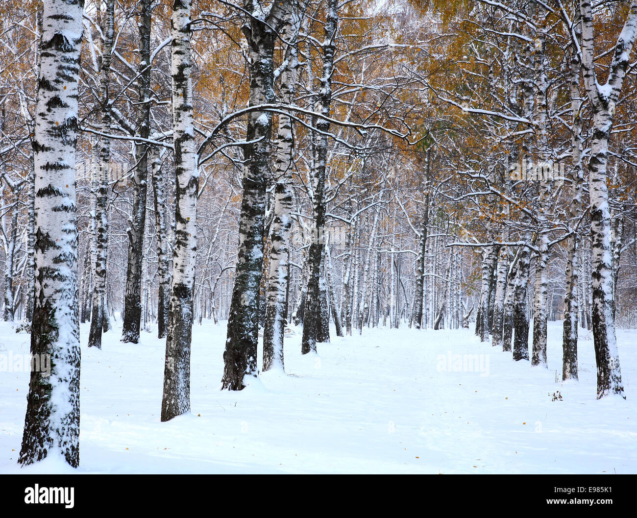 Snow in october Stock Photo - Alamy