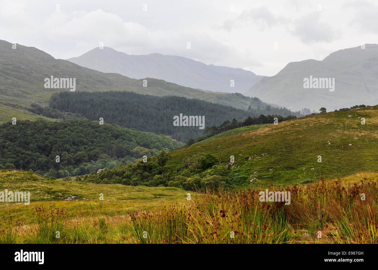 Moidart mountains hi-res stock photography and images - Alamy