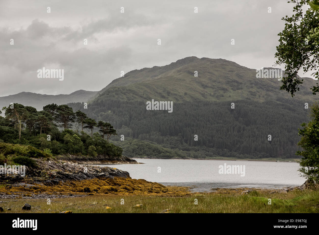 View across Loch Sunart, Lochaber, Highlands, Scotland Stock Photo - Alamy