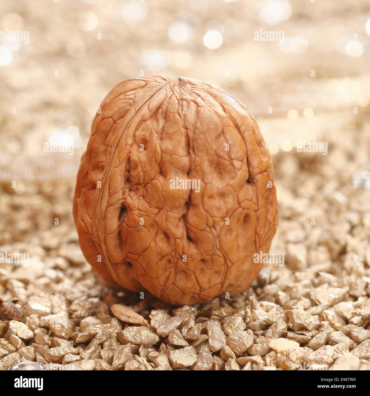 Walnut shell hi-res stock photography and images - Alamy