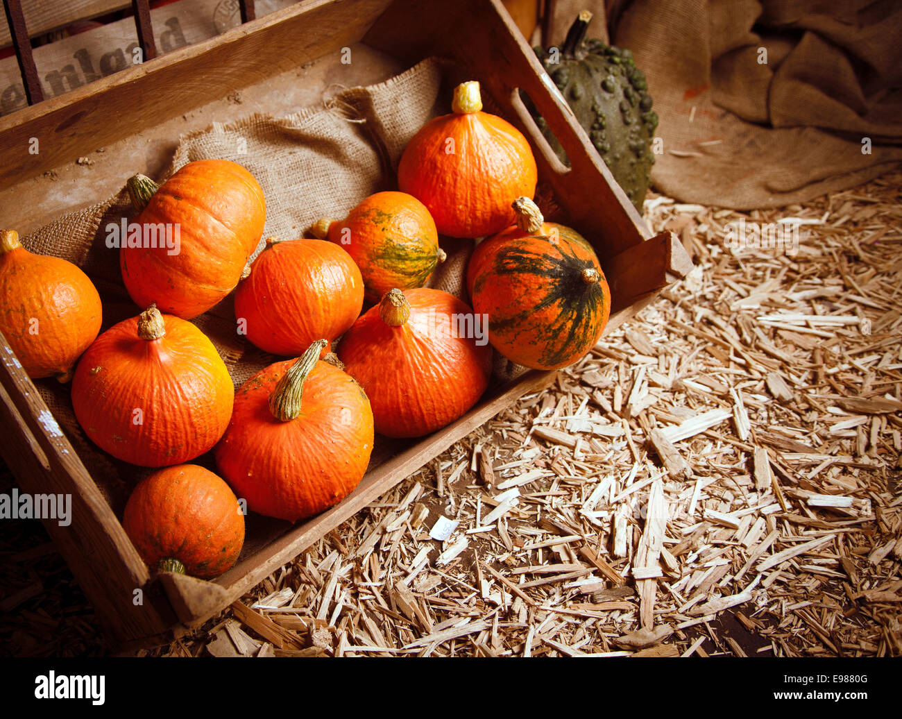 Pumpkins in a crate on a straw background for fall concepts Stock Photo ...