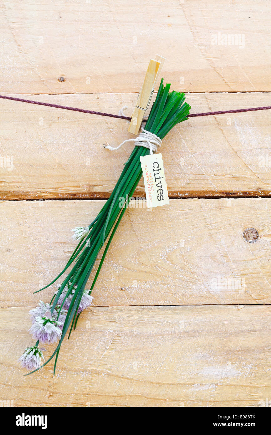 Bunch of fresh green chives with a decorative label hanging from a ...