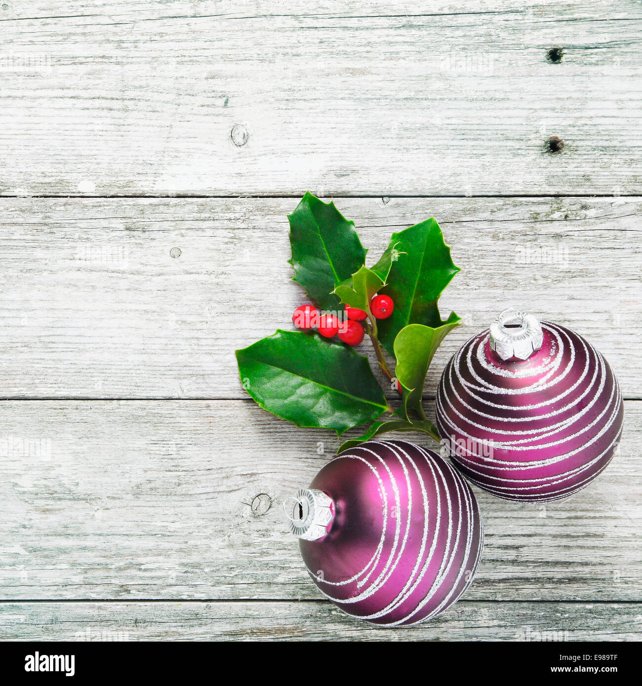 Holly square hi-res stock photography and images - Alamy