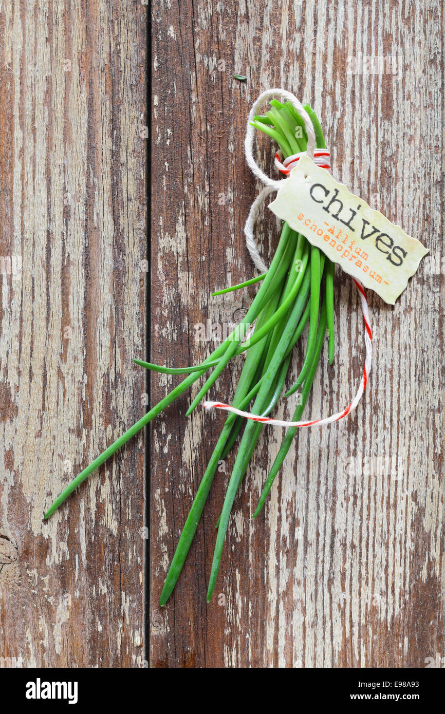 Bunch of fresh chives with a decorative identification label tied with ...