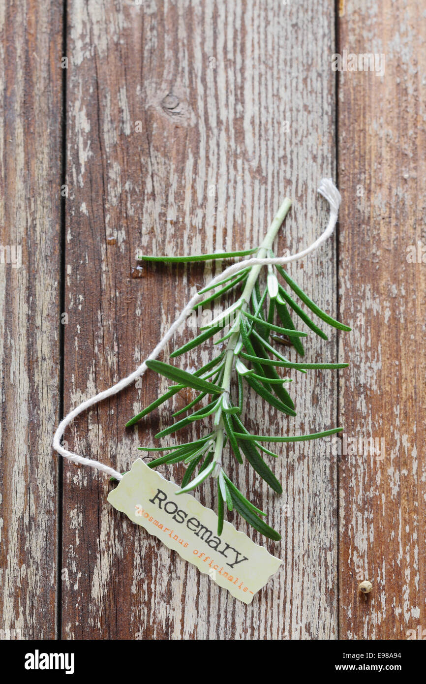 Sprig of fresh rosemary with a serrated edged decorative name tag tied ...