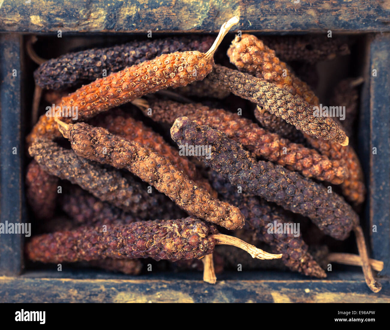 Long pepper, or Piper longum, is a hotter more pungent spice than black ...
