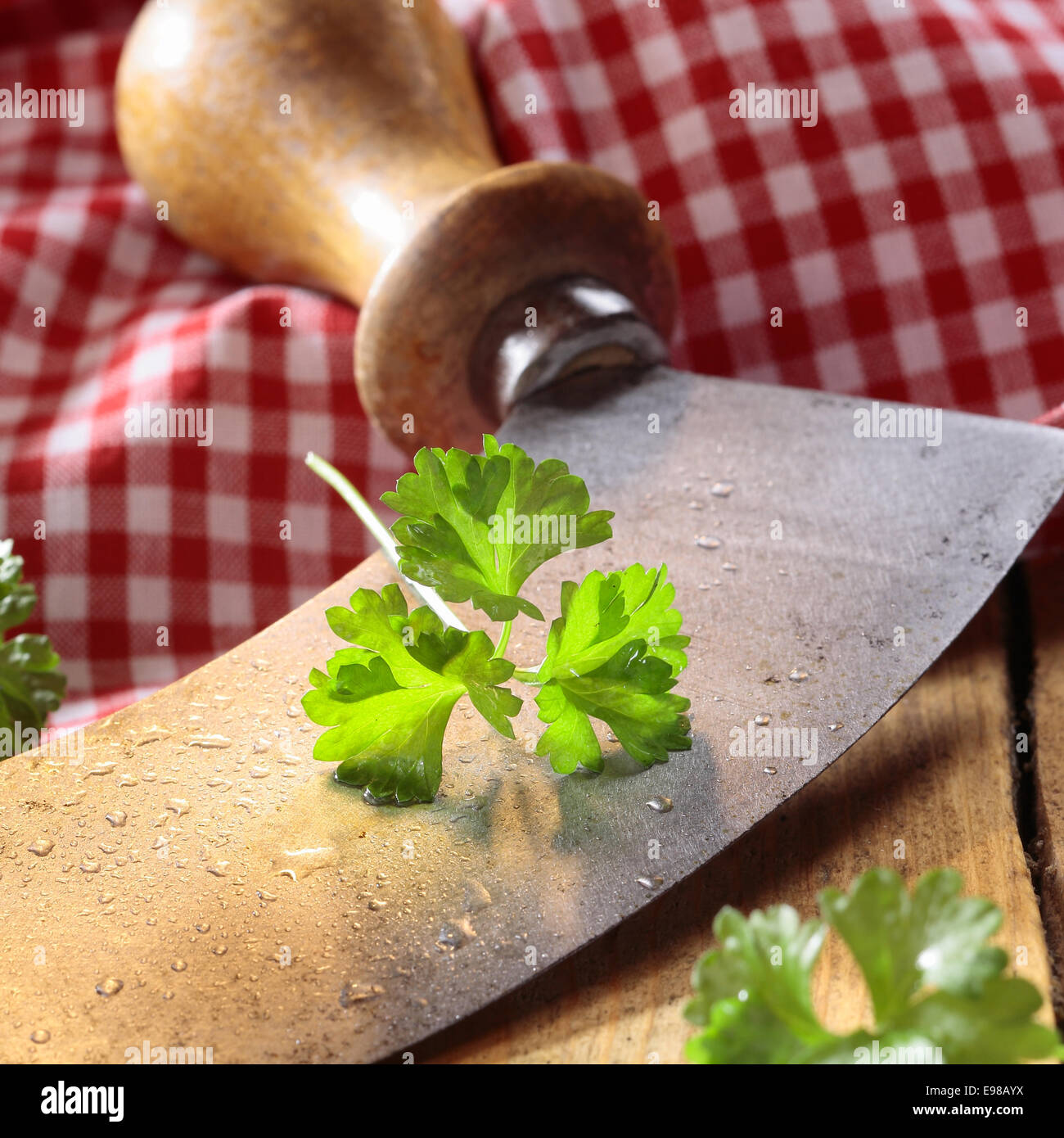 Close up of a modern herb cutter (wiegemes) with wooden handles and a ...