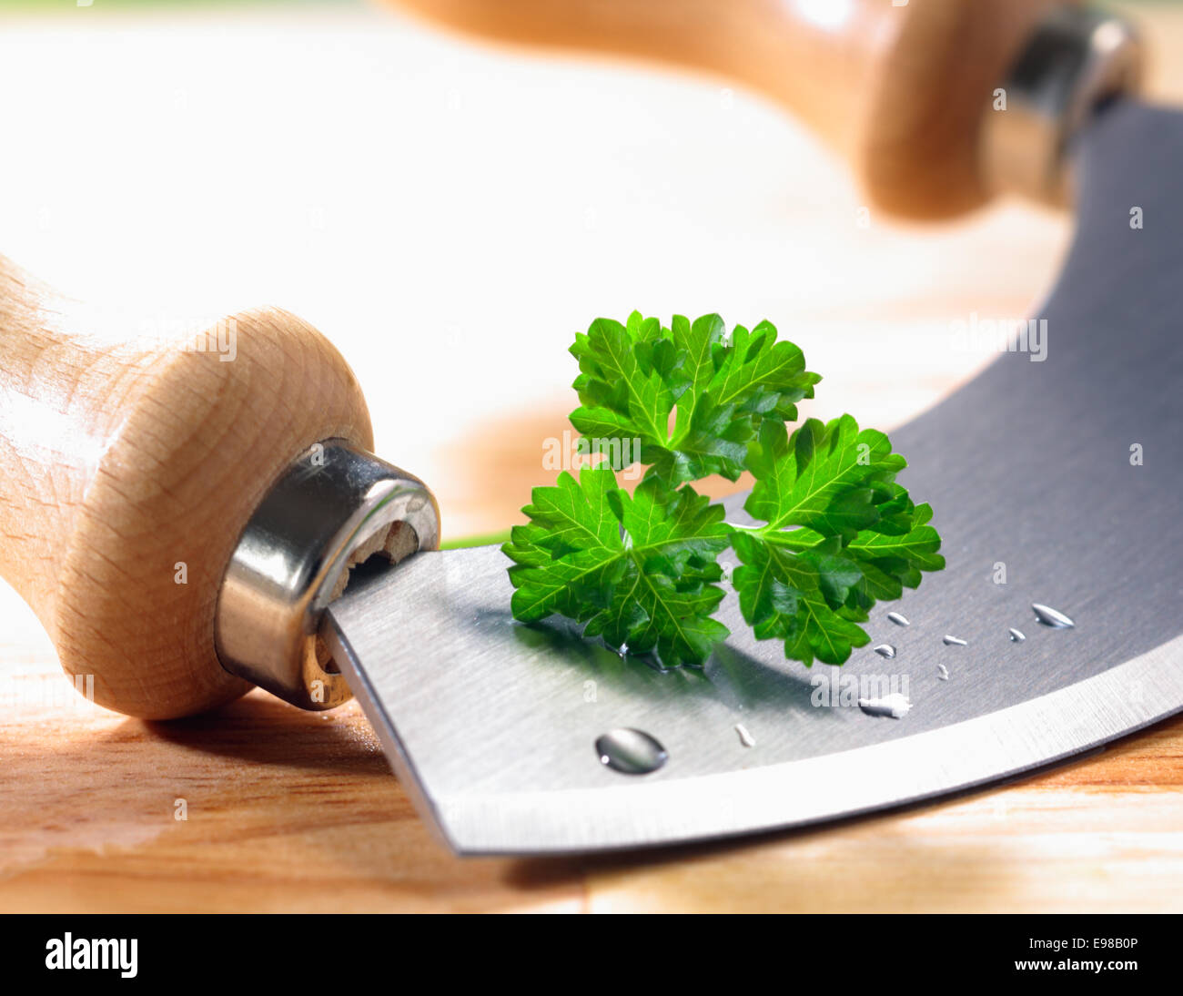 Close up of a modern herb cutter (wiegemes) with wooden handles and a ...