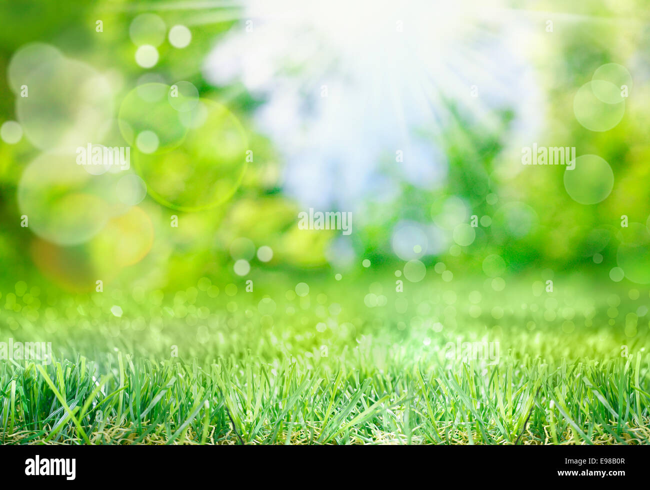 Soft defocused spring background with a sunburst and bokeh over lush ...