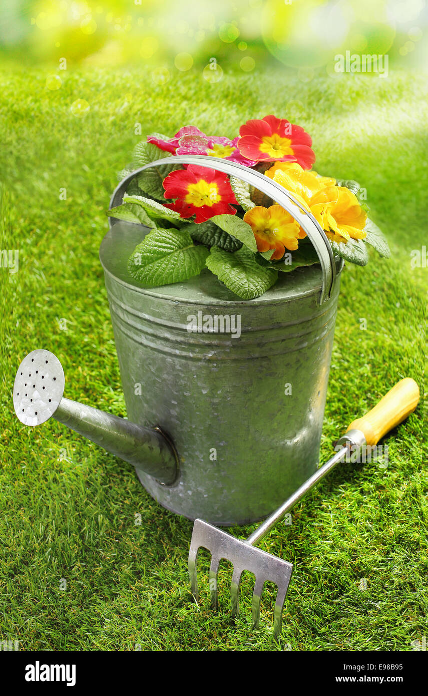 Rustic Watering Can With Flowers
