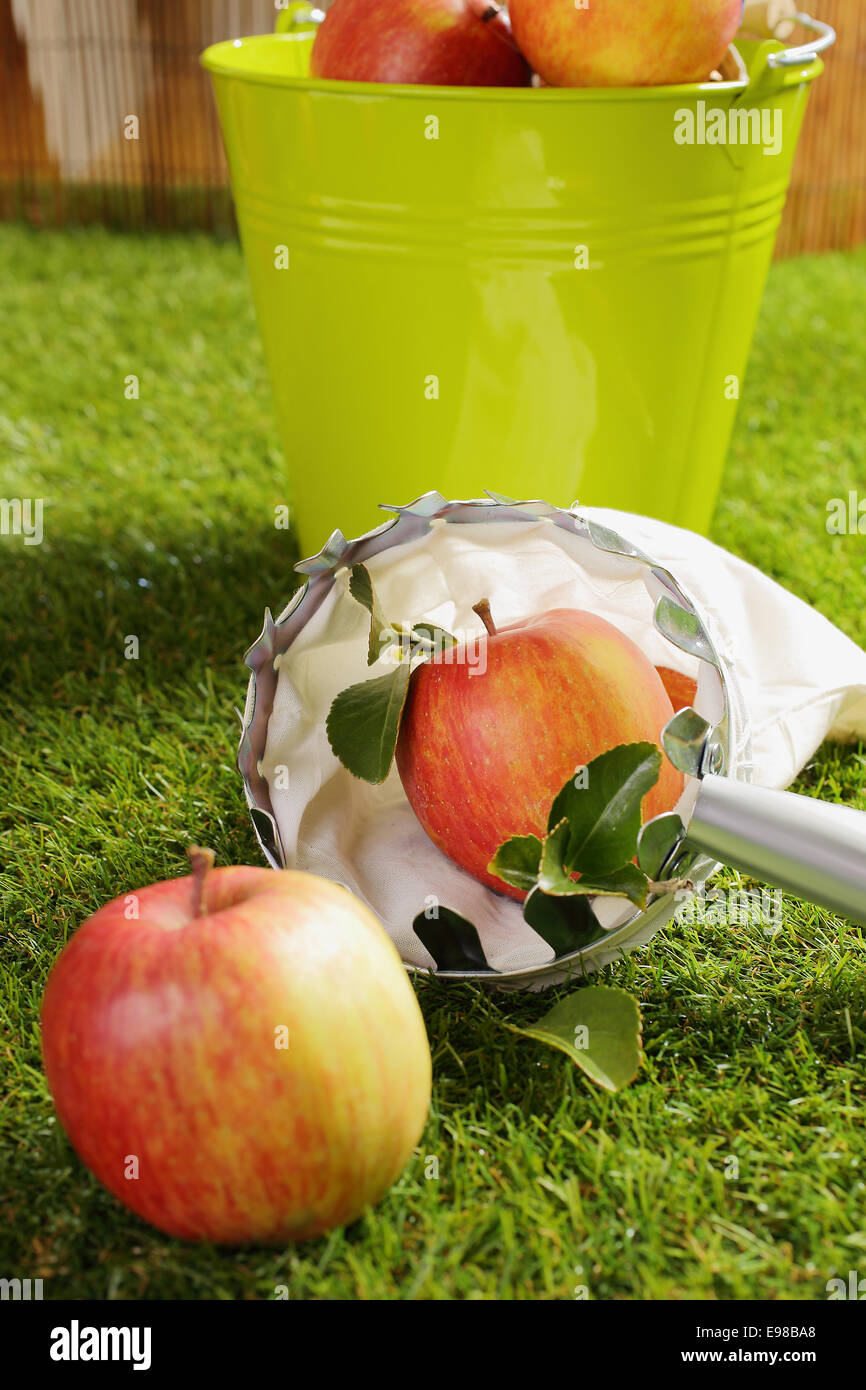 Crop picker hi-res stock photography and images - Alamy
