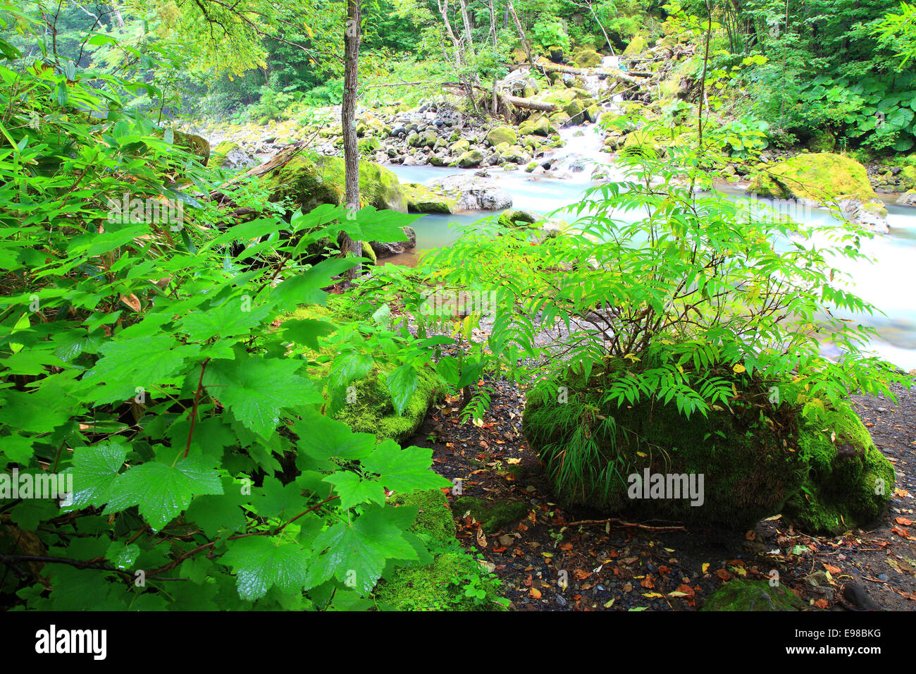 Ishikari river hi-res stock photography and images - Alamy