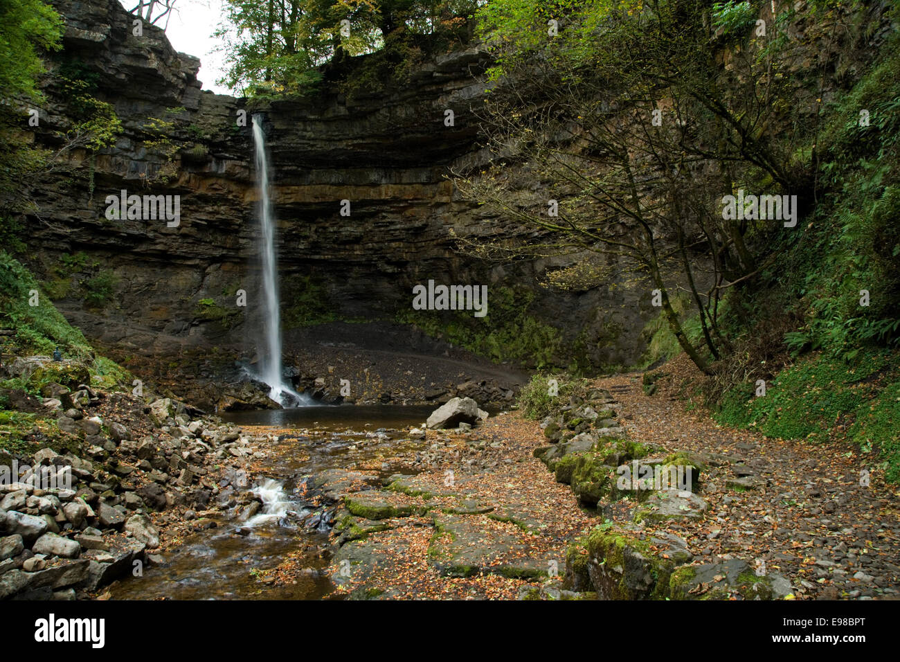 Hardraw Force Waterfall, Hardraw, Yorkshire Dales, England Stock Photo ...