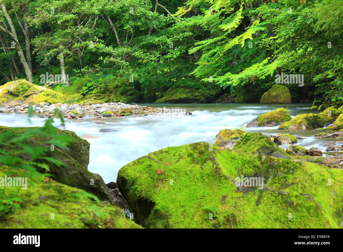 Ishikari river hi-res stock photography and images - Alamy