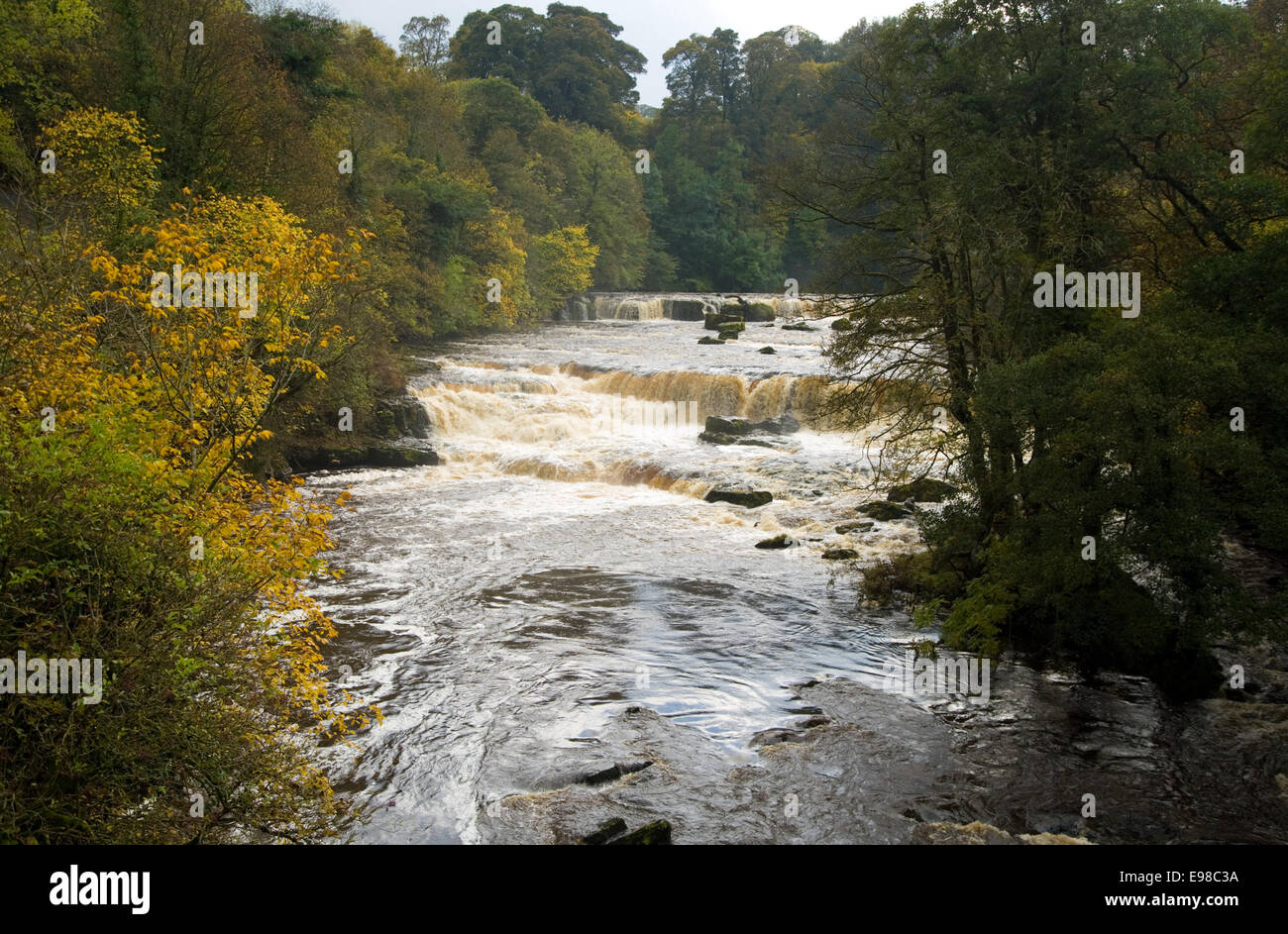 Aysgarth Upper Falls, Yorkshire Dales England Stock Photo - Alamy