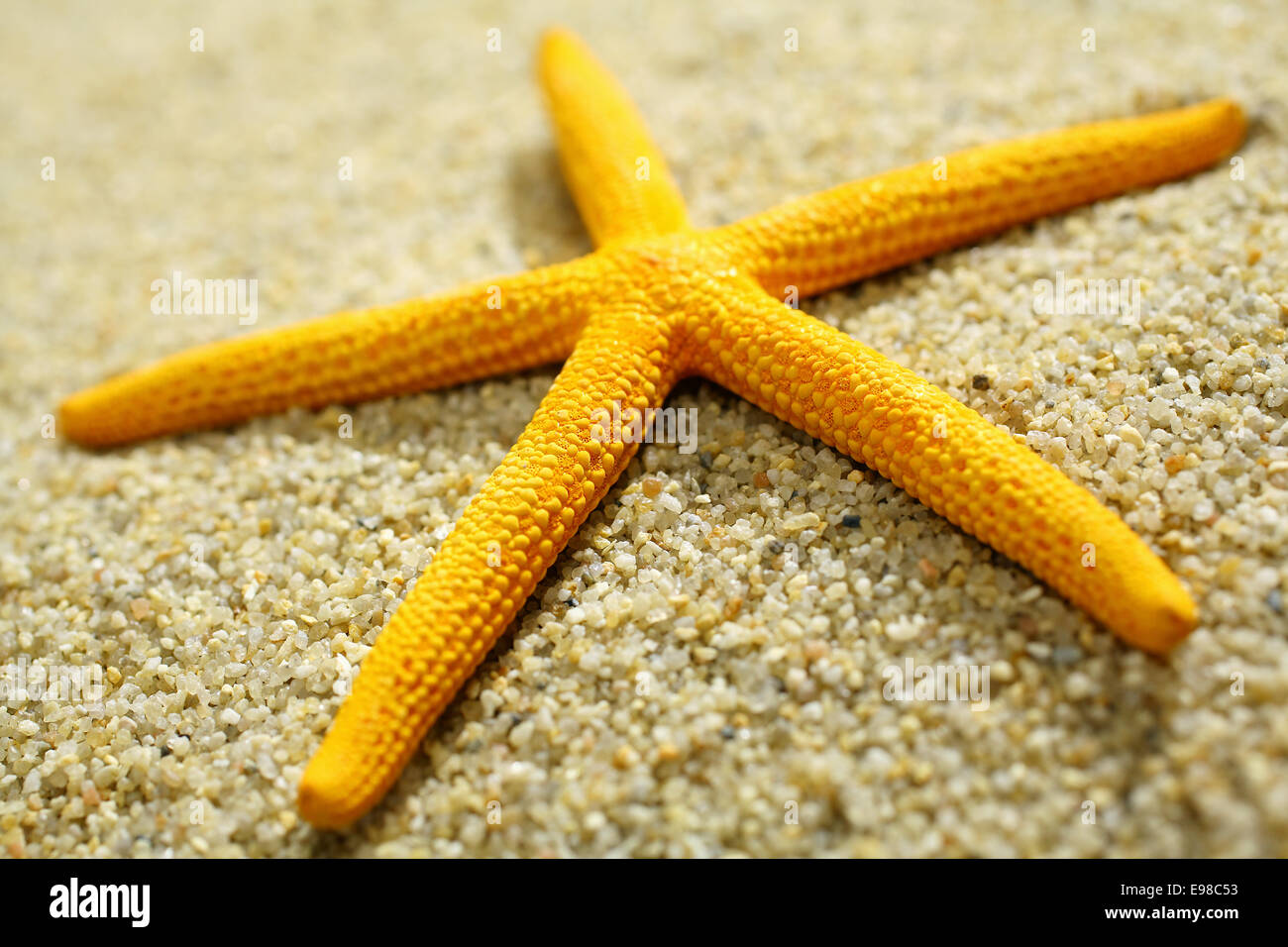Sunny travel marine seashore beach hi-res stock photography and images ...