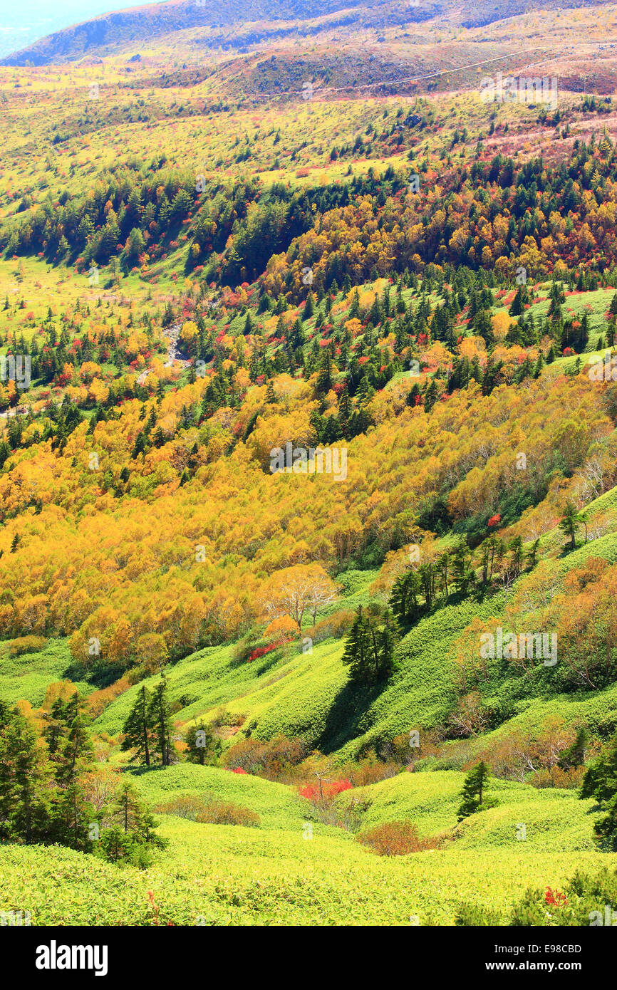 Gunma Prefecture, Japan Stock Photo - Alamy