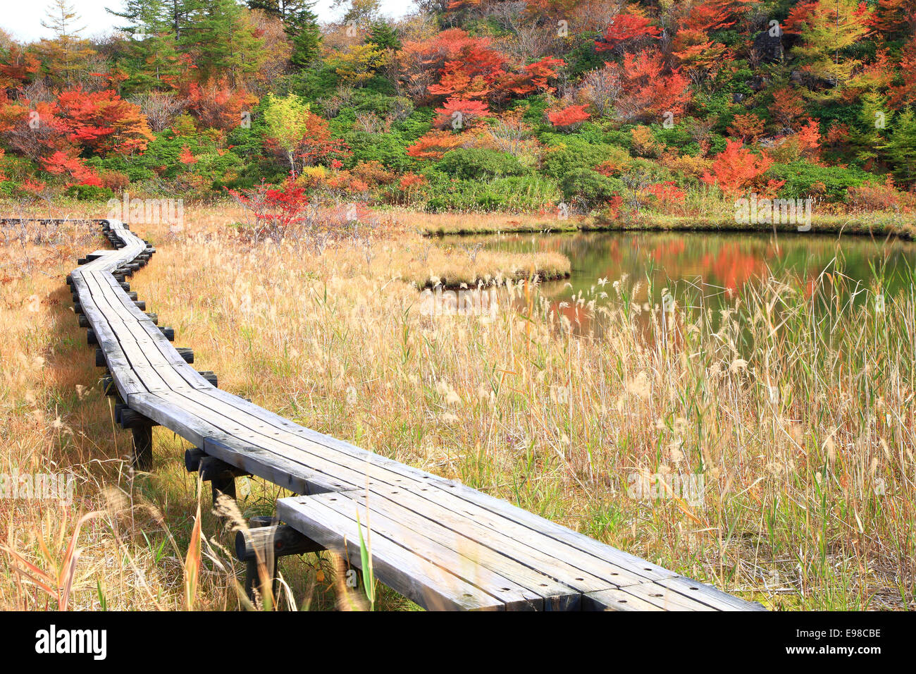 Gunma Prefecture, Japan Stock Photo - Alamy