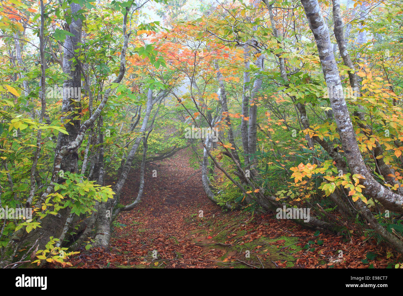 Nagano border hi-res stock photography and images - Alamy
