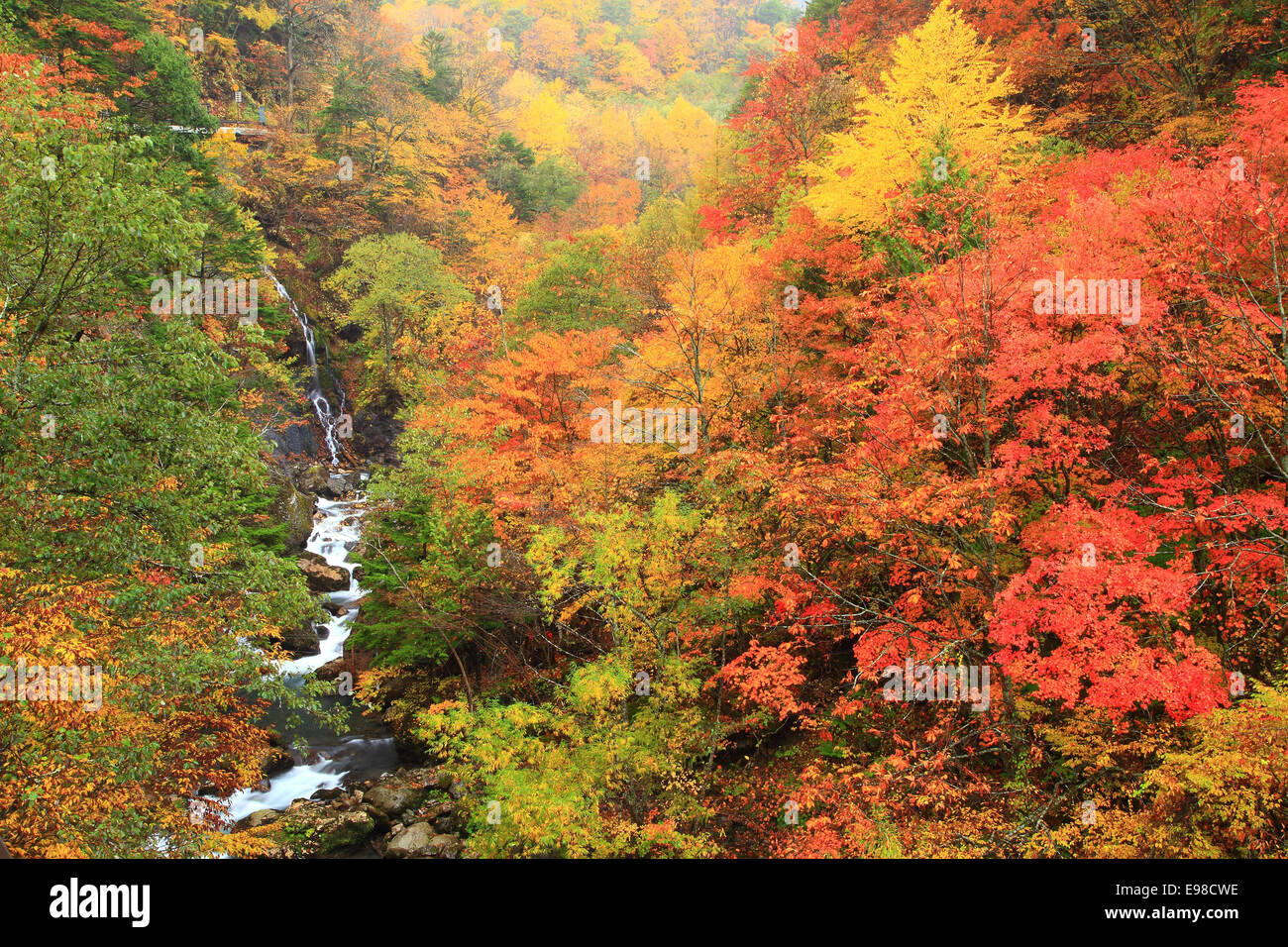 Nagano Prefecture, Japan Stock Photo - Alamy
