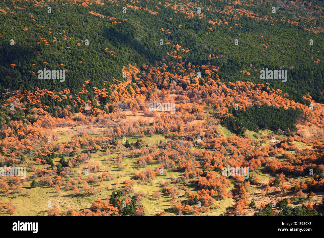 Gunma Prefecture, Japan Stock Photo - Alamy