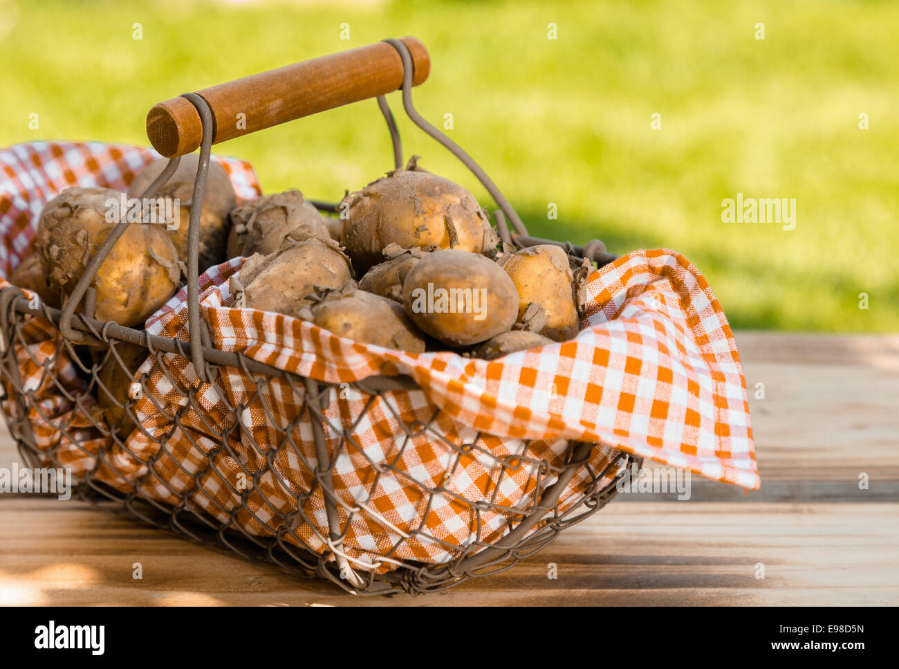 Rustic wire mesh basket, lined with checkered fabric and containing a ...