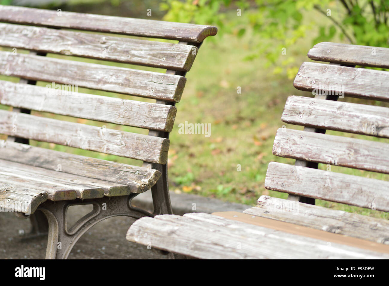 Wooden benches in a park Stock Photo - Alamy