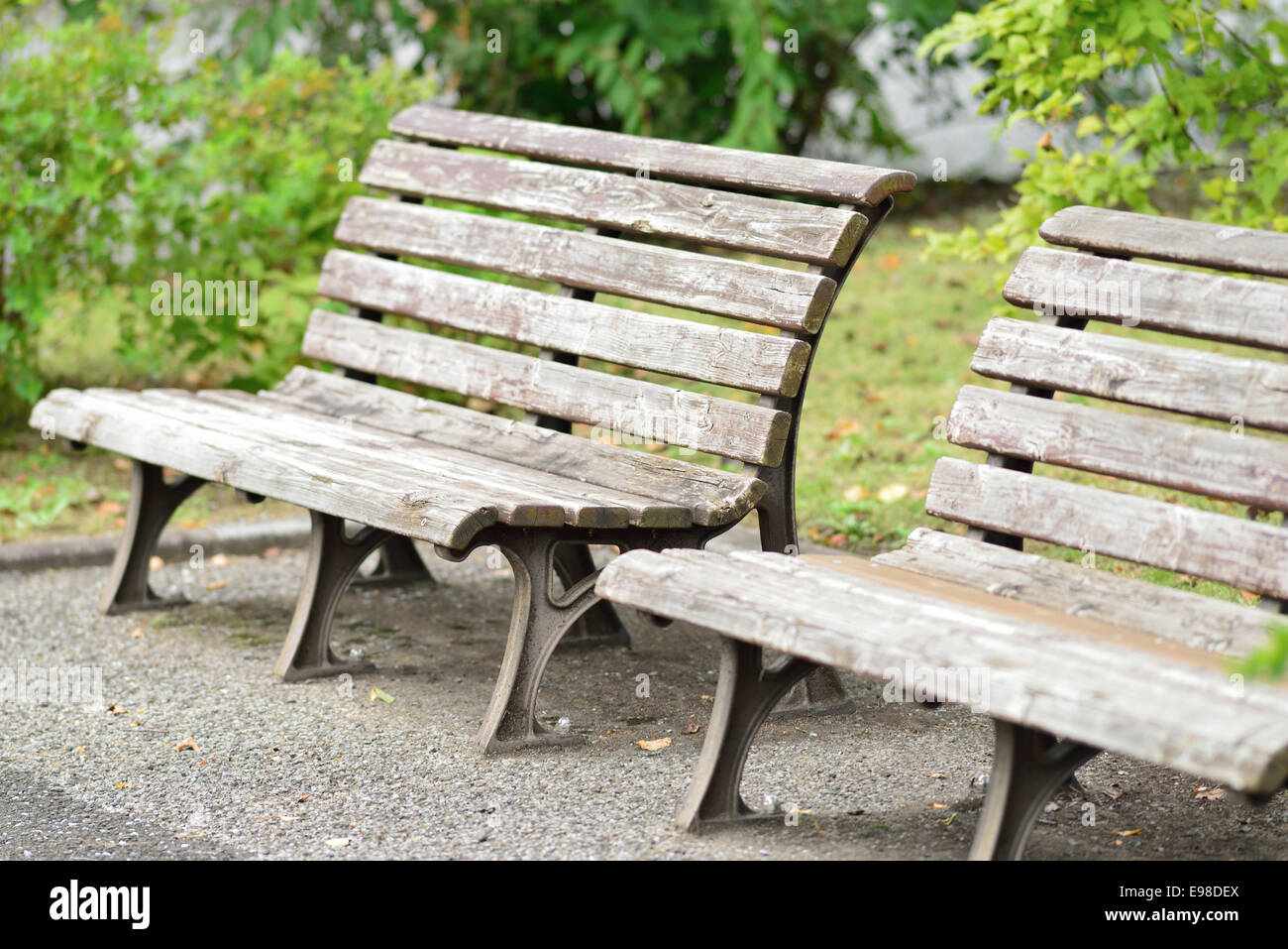 Wooden benches in a park Stock Photo - Alamy