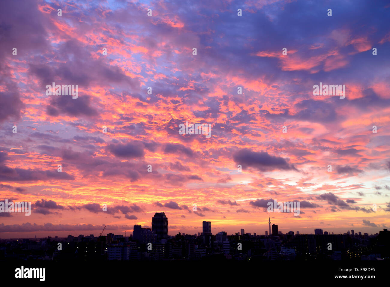 Itabashi Japan High Resolution Stock Photography and Images - Alamy