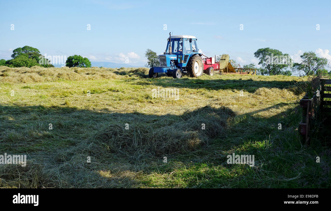Hay making. Scottish Borders.Scotland.UK Stock Photo - Alamy