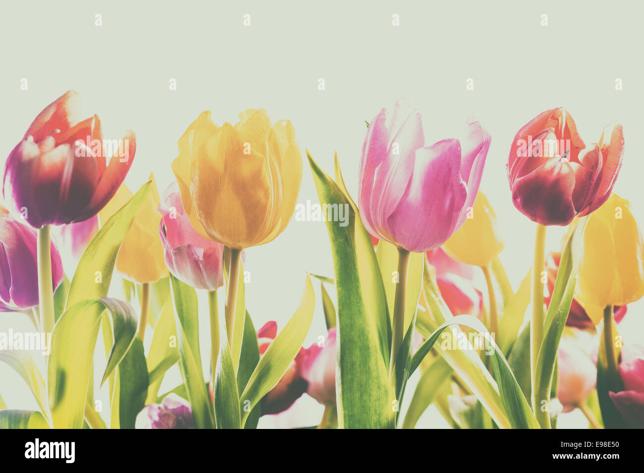 Vintage effect hi-res stock photography and images - Alamy