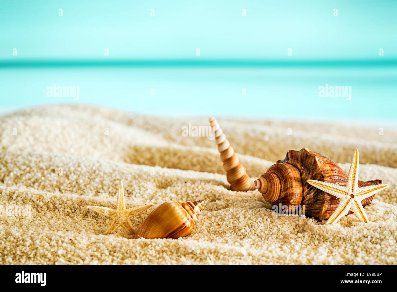 Beautiful tropical beach with seashells lying on the golden sand ...