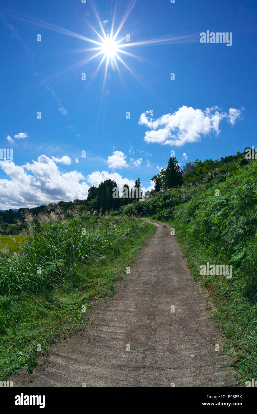 Road in the countryside, Niigata Prefecture, Japan Stock Photo - Alamy