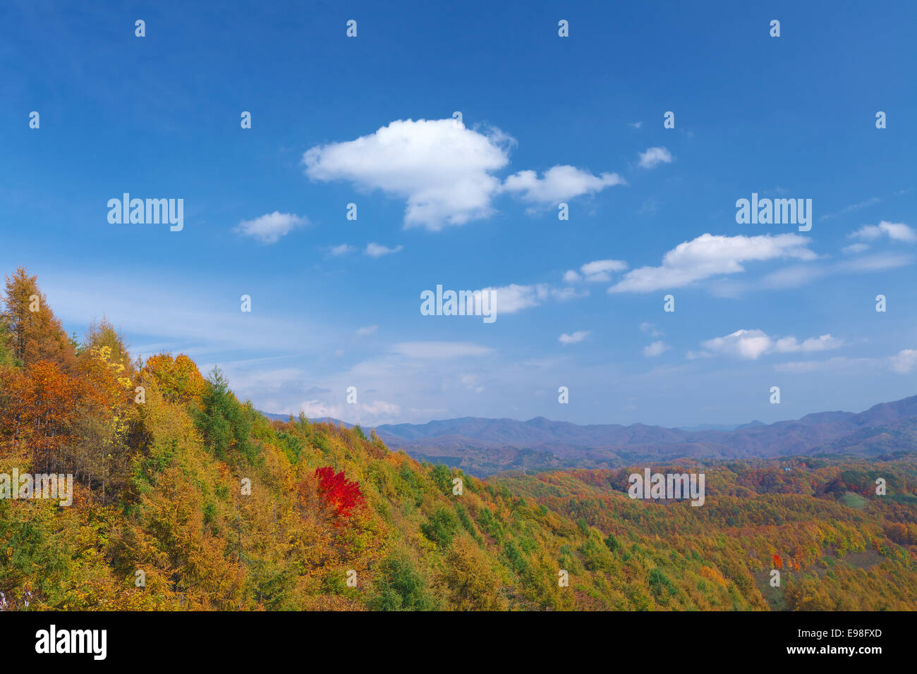 Gunma Prefecture, Japan Stock Photo - Alamy
