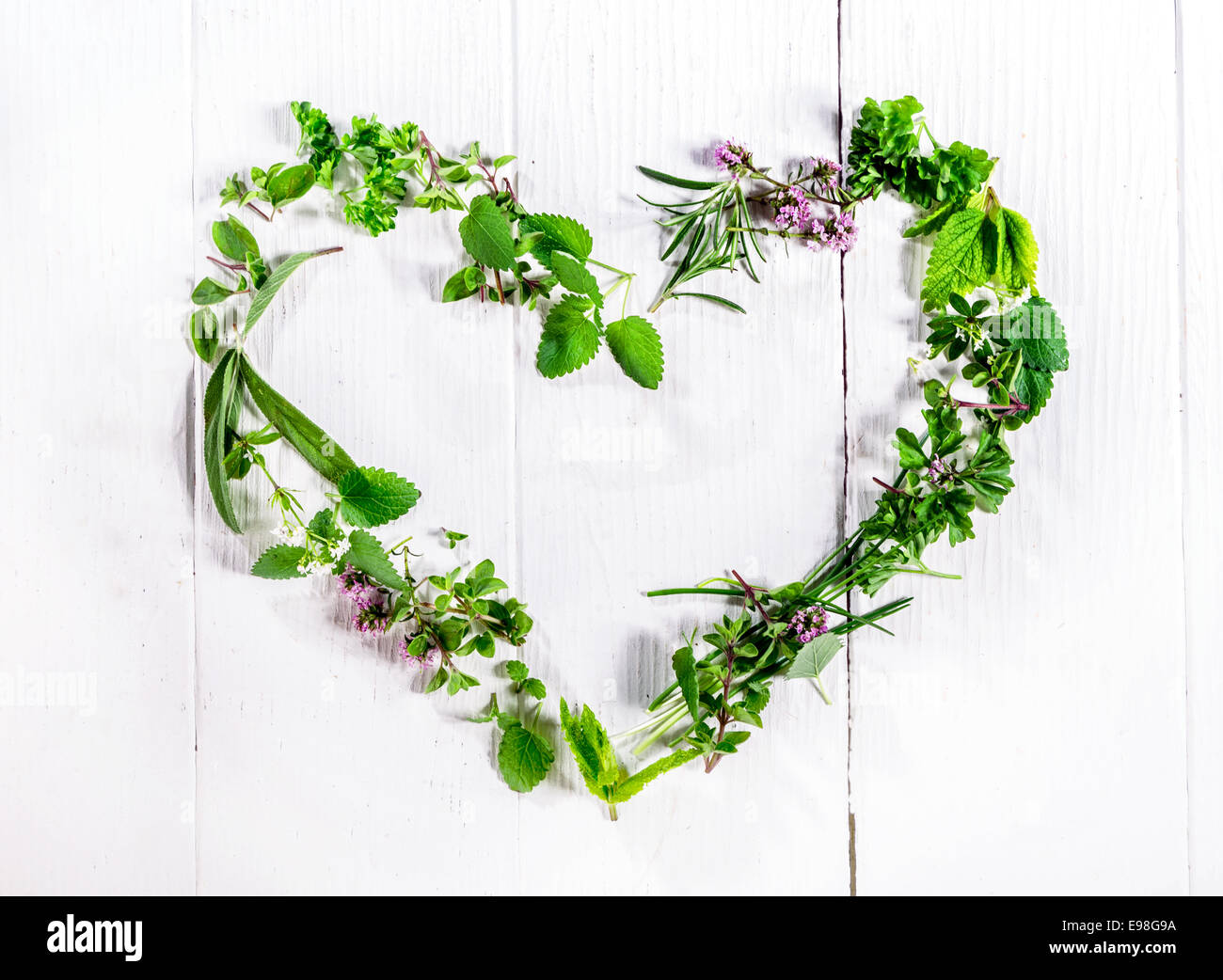 Heart shaped frame of assorted sprigs of fresh green culinary herbs ...